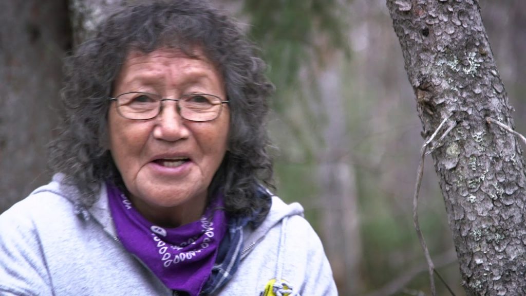 Video Gallery - Dehcho First Nations