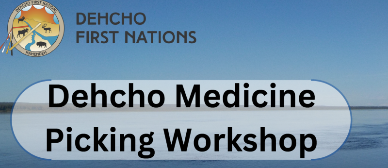 Home | Dehcho First Nations
