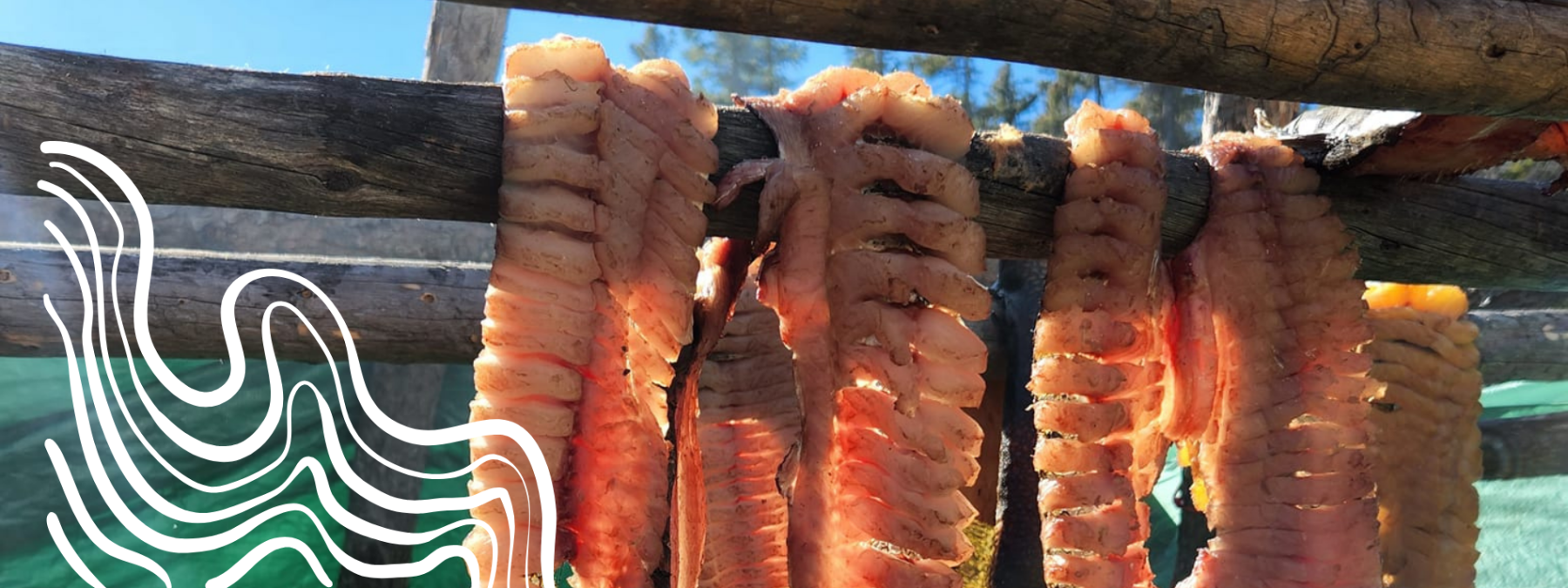 Home | Dehcho First Nations