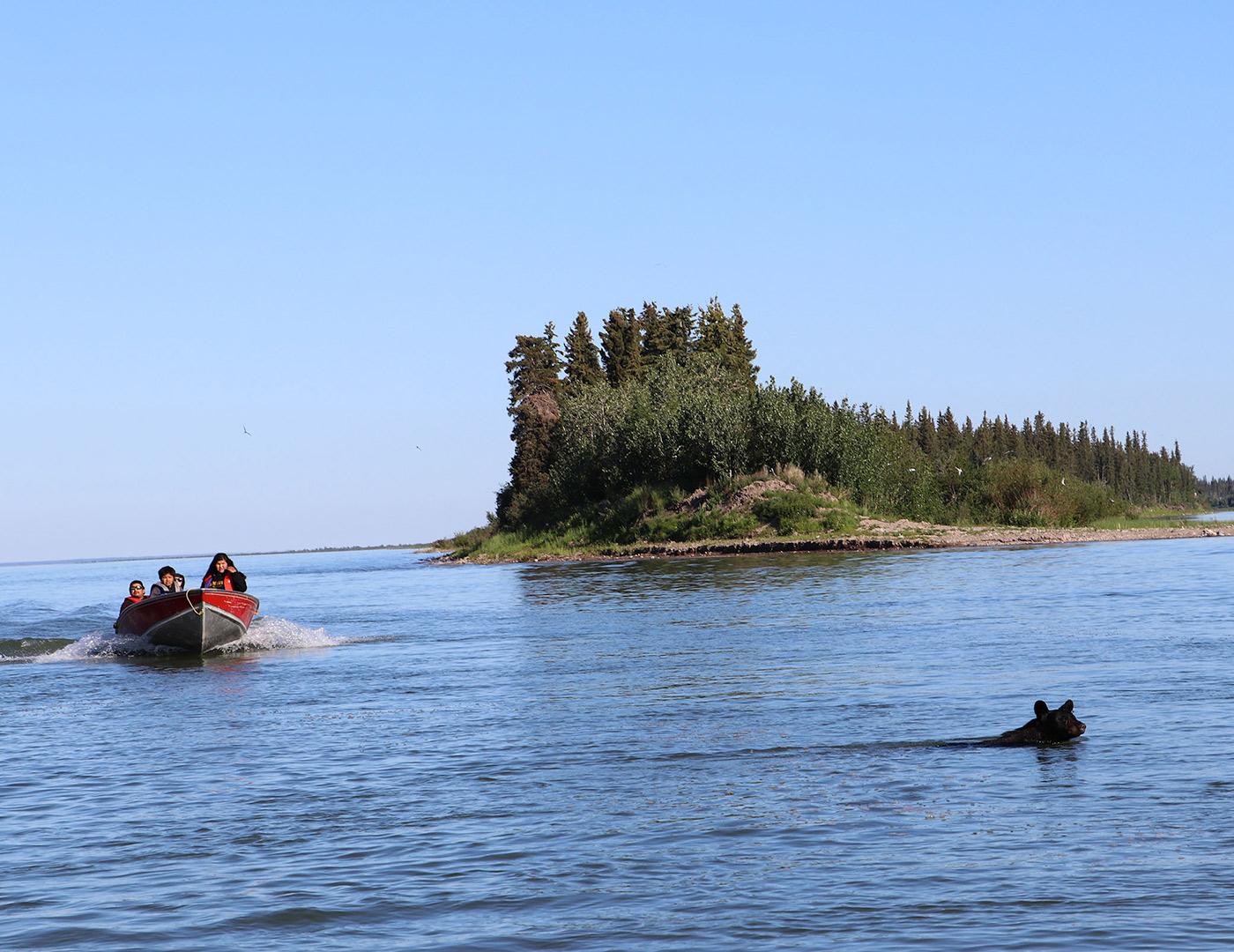 Goals | Dehcho First Nations