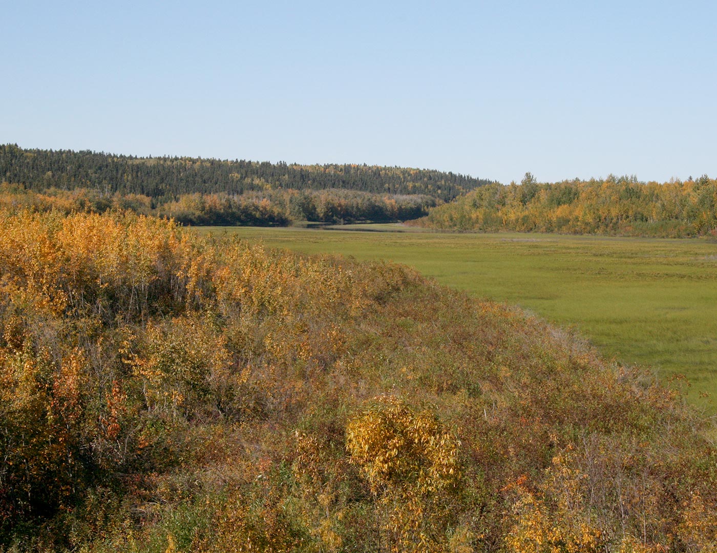 Annual Reports | Dehcho First Nations